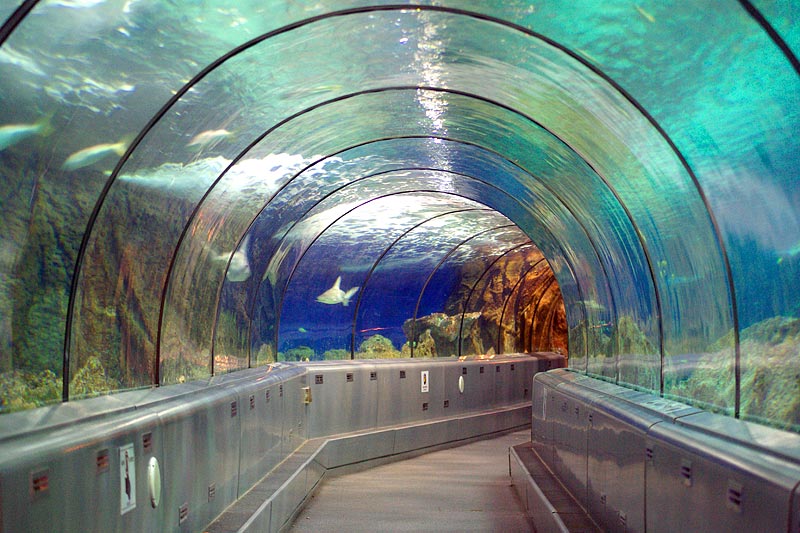 Marineland Aquarium Sizes